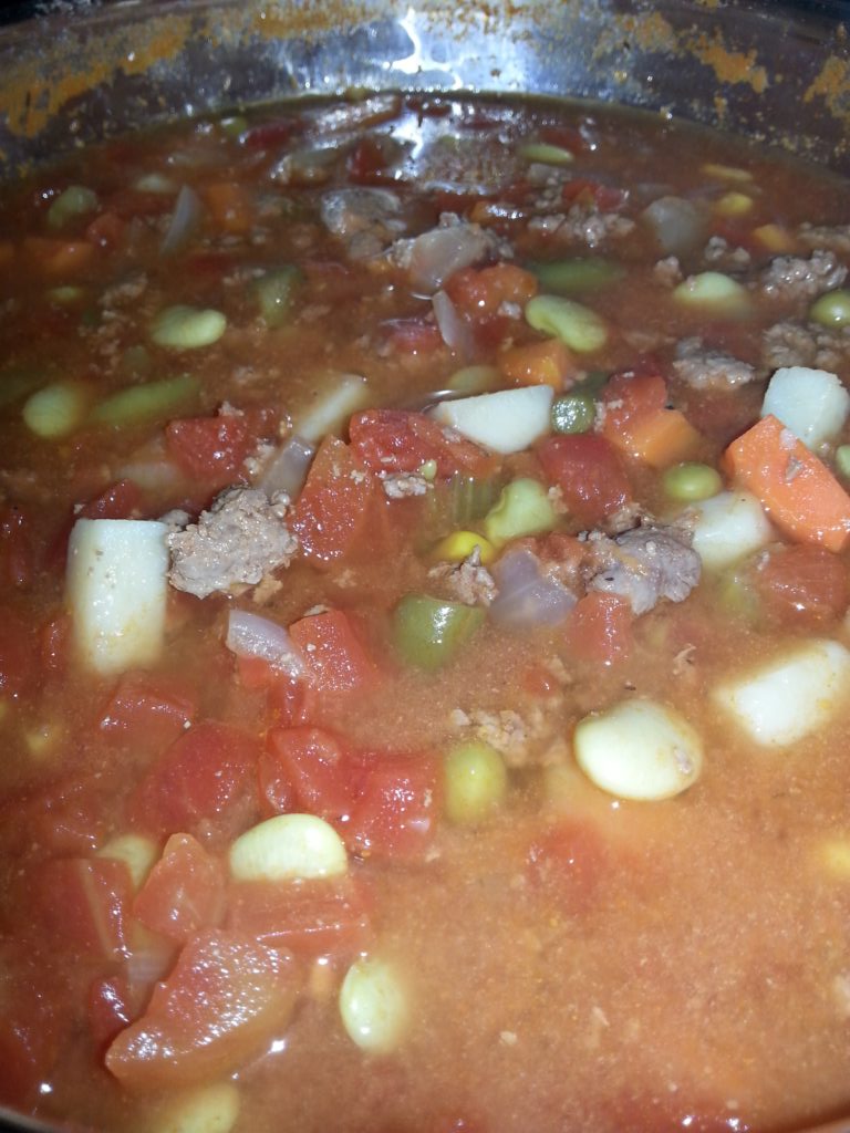 Campfire Exploring Easy Vegetable Soup Recipe for Thermal Cooking